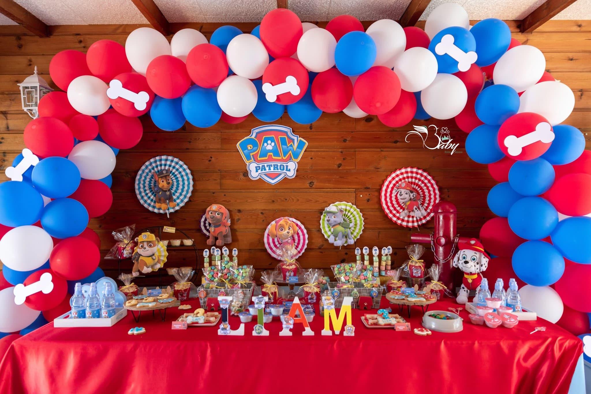 Réussir un anniversaire Pat'Patrouille qui fera briller les yeux des ...